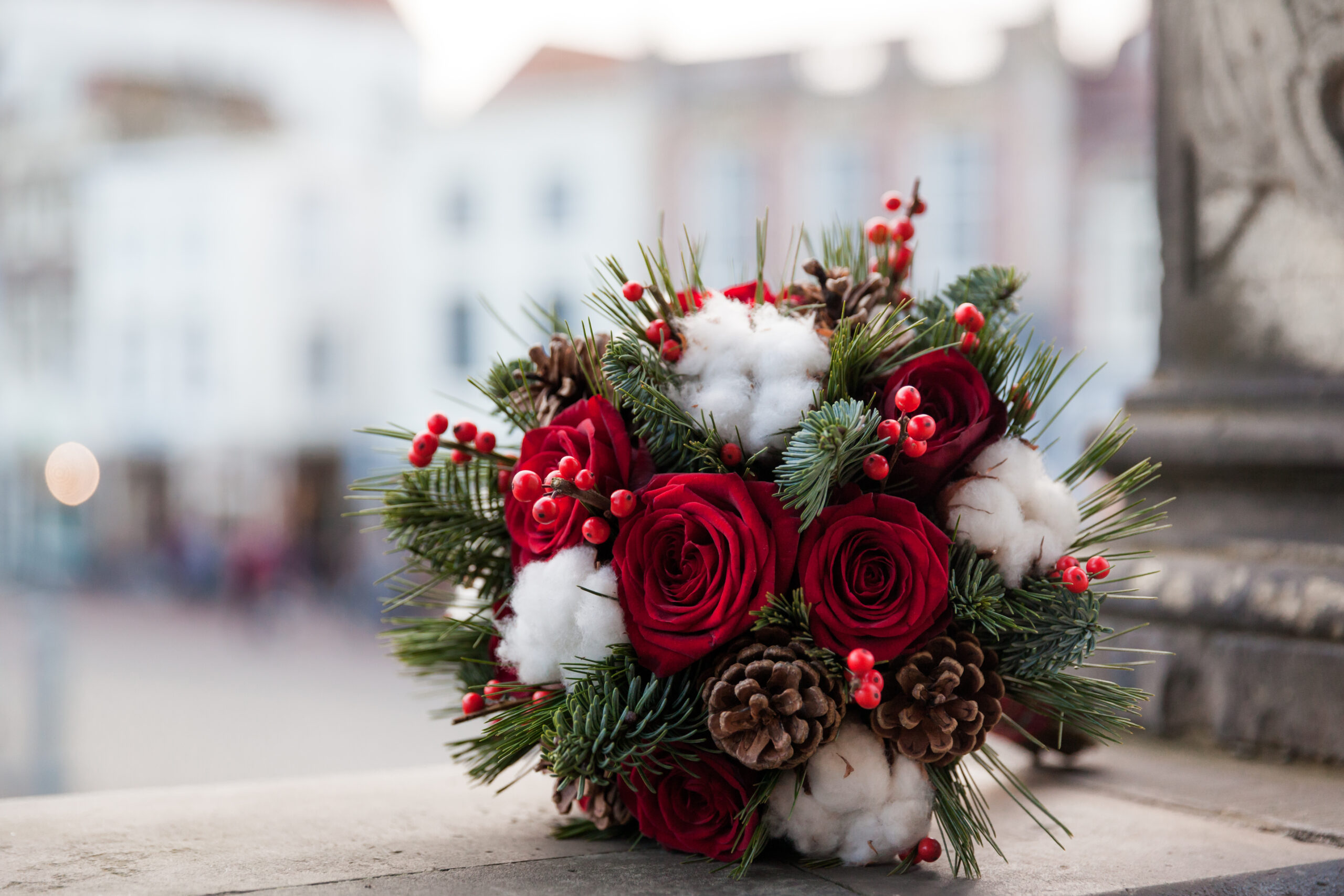 Christmas Flowers from Quiggs Florist | Derry Florist