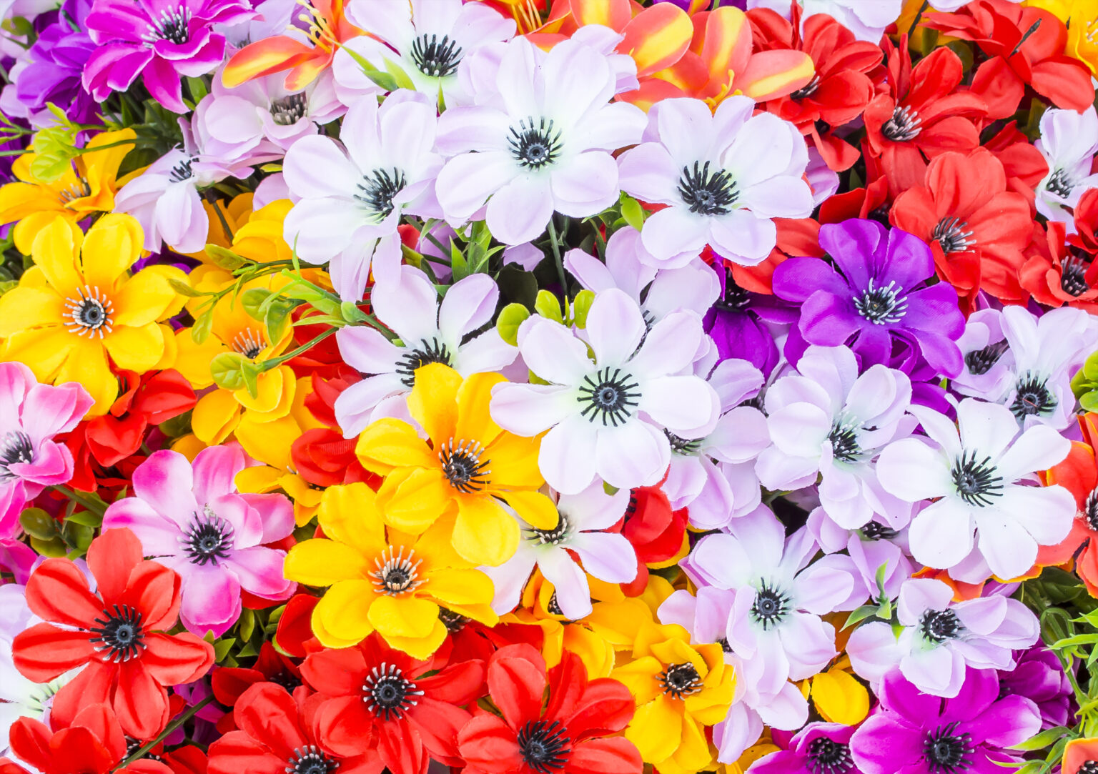 Flower Colours | Quiggs Florist | Learn More