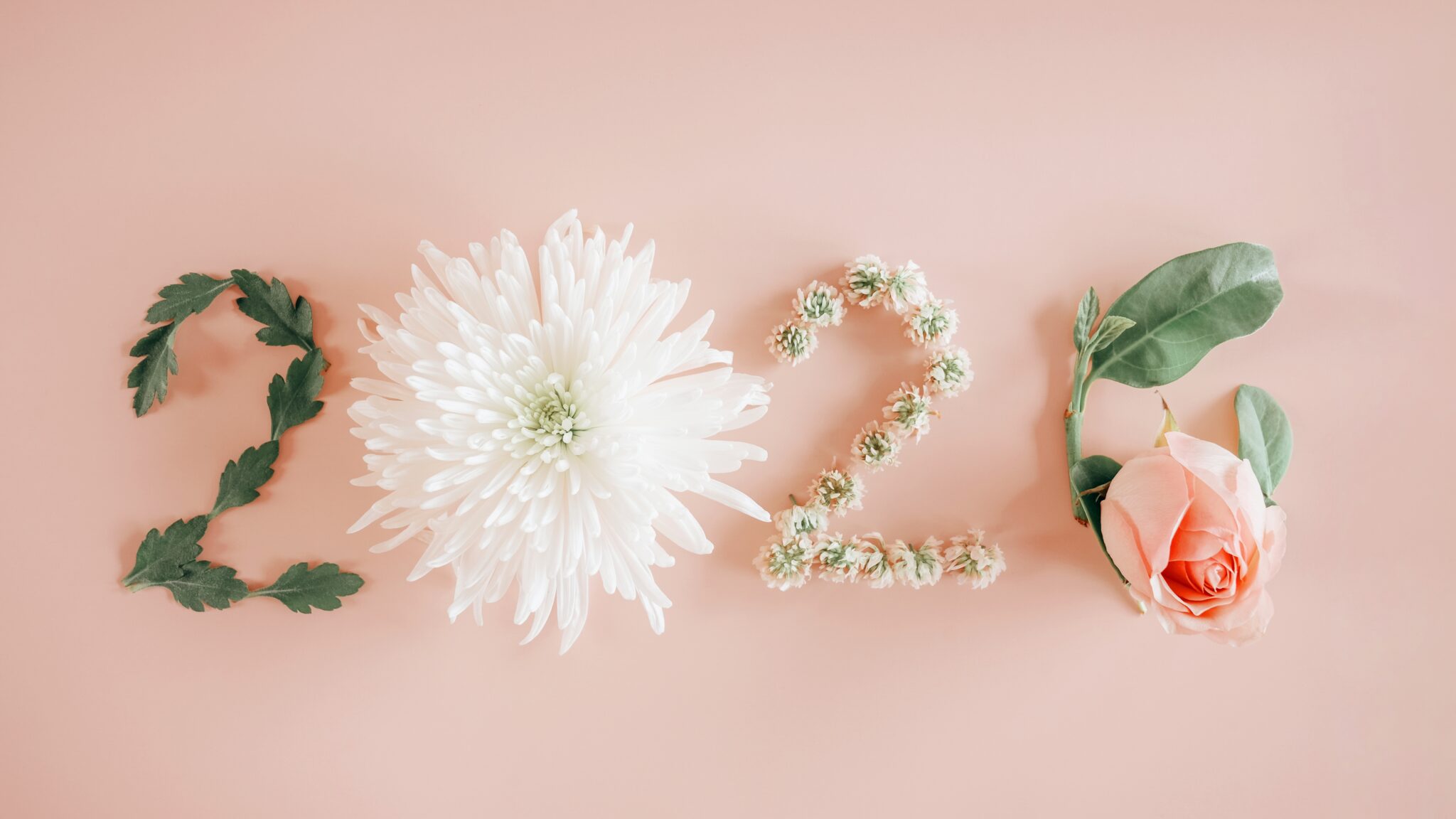 New Year, Fresh Flowers – January Blooms from Quiggs Florist - Quiggs ...
